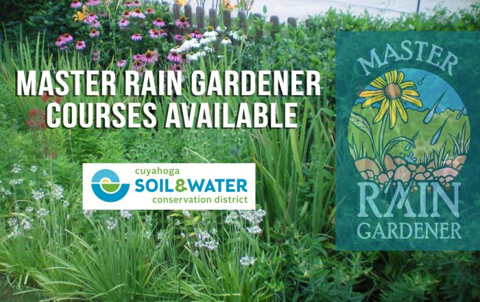 The Village of North Randall, Ohio – The official website of the village